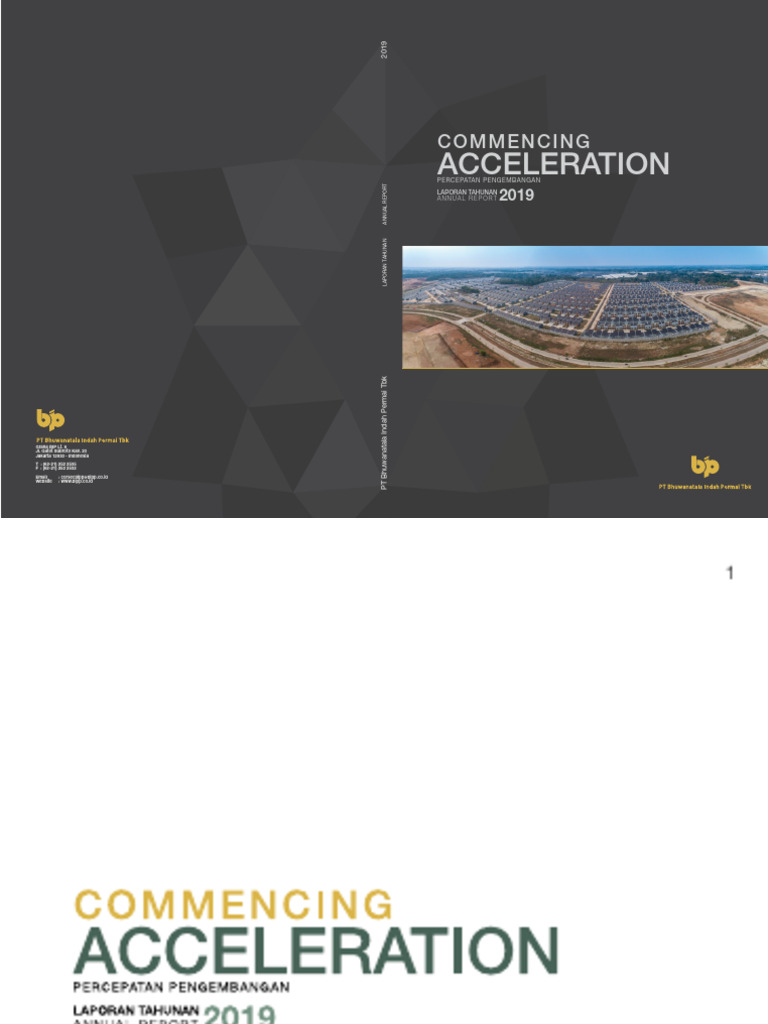 FA_AR_BIPP_2019 | PDF