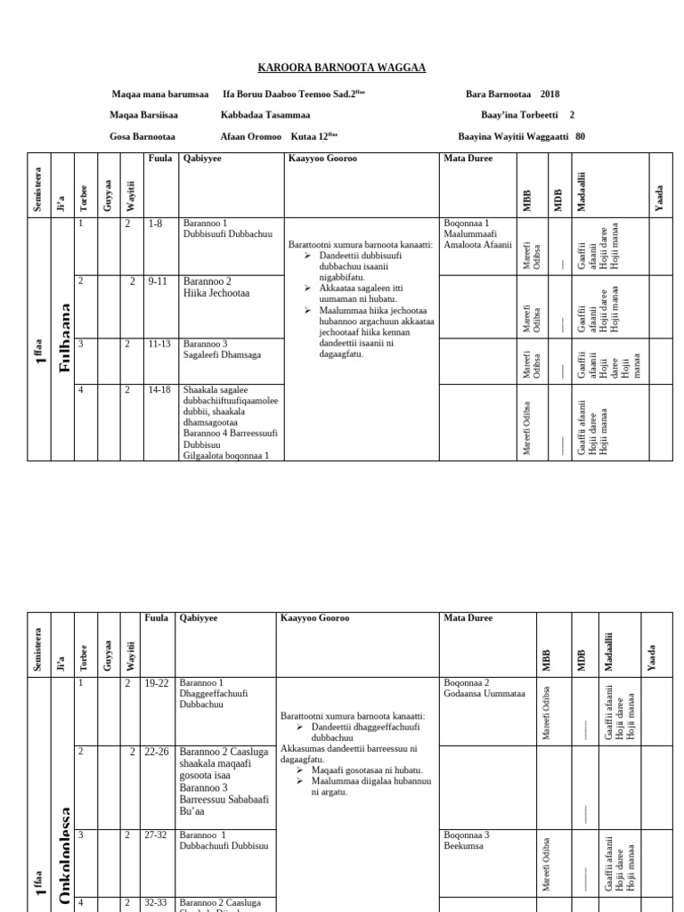Karoora Waggaa Kutaa 12ffaa | PDF