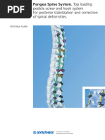 DEPUY SYNTHES - Expedium 5.5 | PDF | Vertebra | Screw