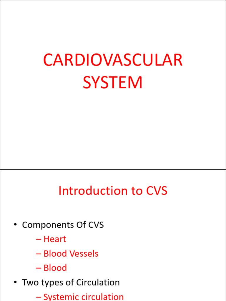 Overview of the Cardiovascular System | PDF | Coronary Circulation ...