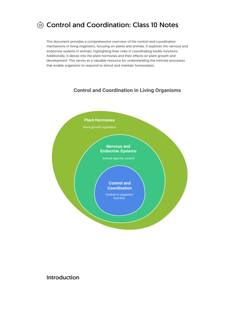 Control and Coordination - Class 10 Notes PDF | PDF | Neuron | Synapse