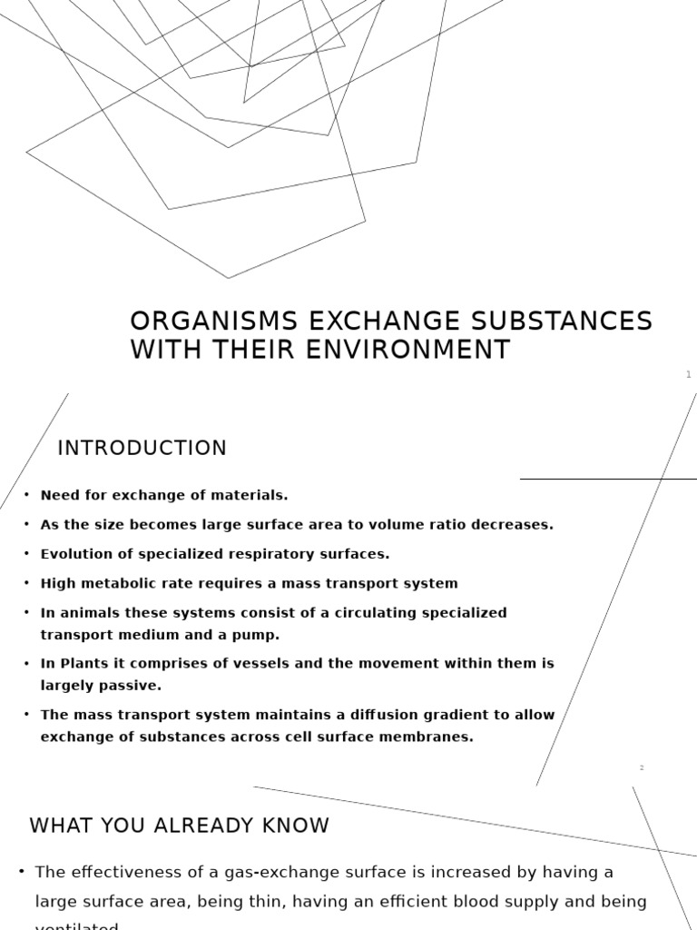 Exchange of Materials | PDF | Gill | Respiratory System