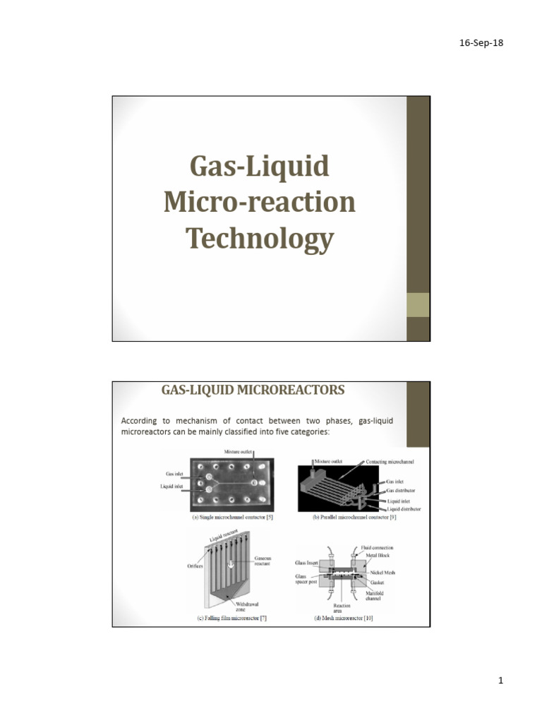 Gas-Liquid Microreaction Technologies | PDF | Liquids | Chemical Reactor