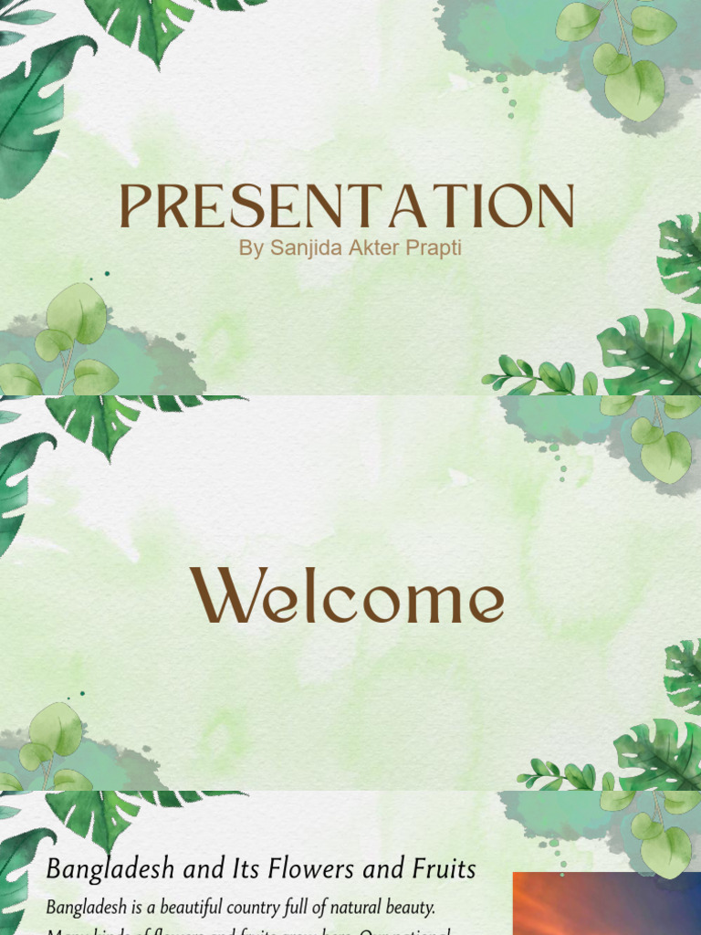 Sanjida Akter Prapti | PDF