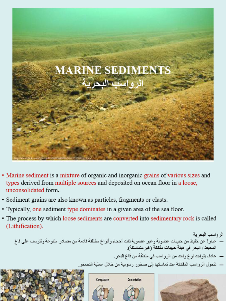 BBC L11 Marine Sediments 19 October 2025 F | PDF