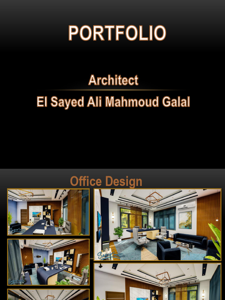Portfolio Sayed Ali | PDF