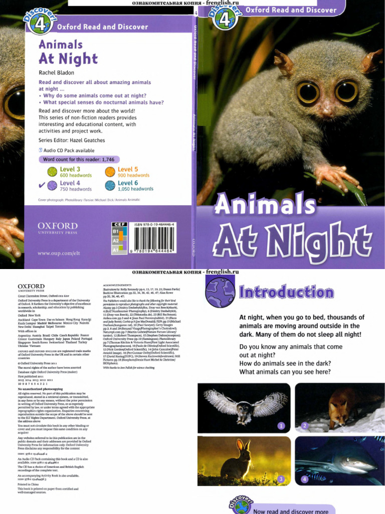 Nocturnal Animals: Discovering Nightlife | PDF | Bat | Predation