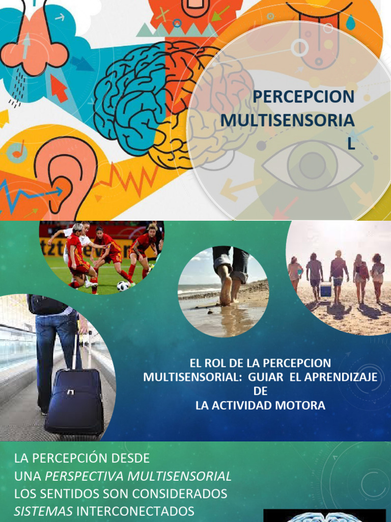 Percepcion Multisensorial (Autoguardado) | PDF | Sentidos | Percepción