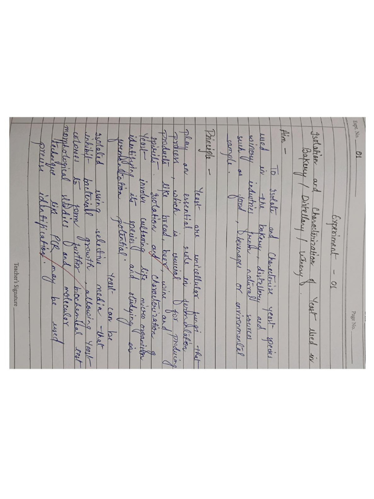 Food Micro Exp 1 2 Pdf