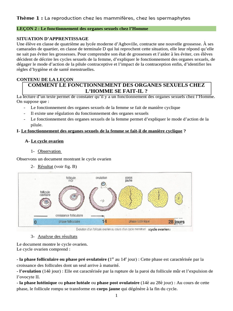 Fonctionnement des organes sexuels féminins | PDF | Cycle menstruel ...