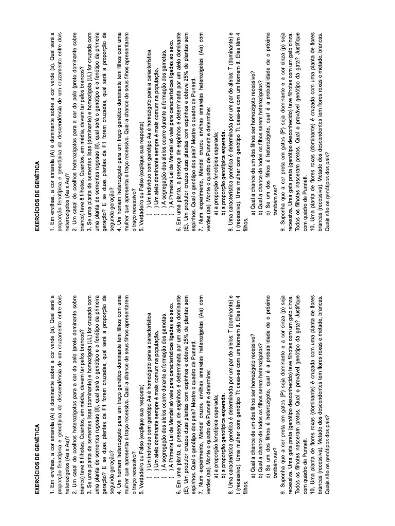 Aula Giovanni | PDF