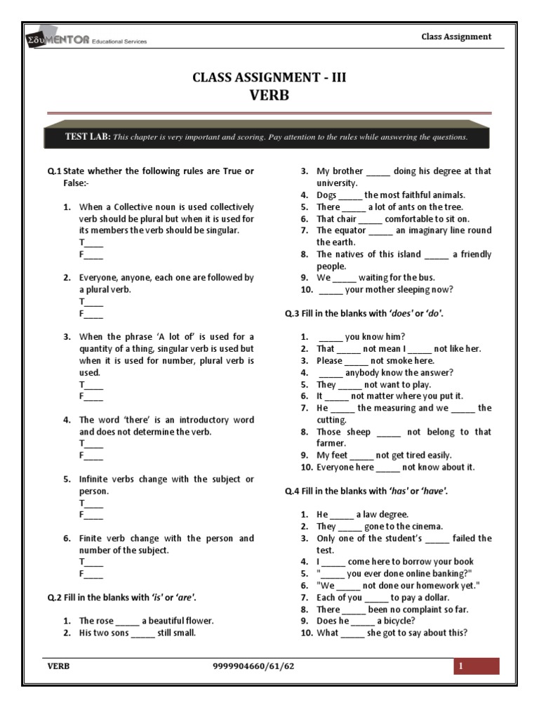 Verb Rules and Exercises Assignment | PDF | Grammatical Number | Plural