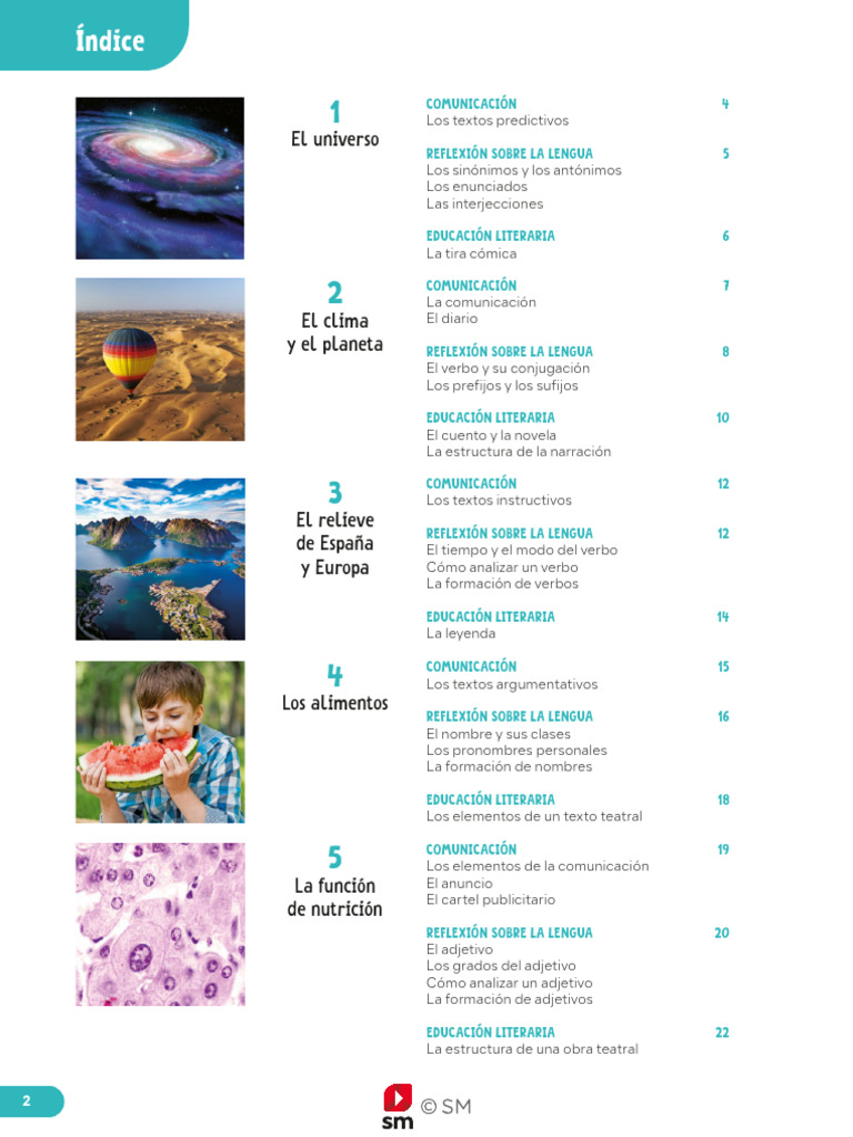 5Âº Saberes BaÌ Sicos - LENGUA - QUE | PDF | Verbo | Gramática