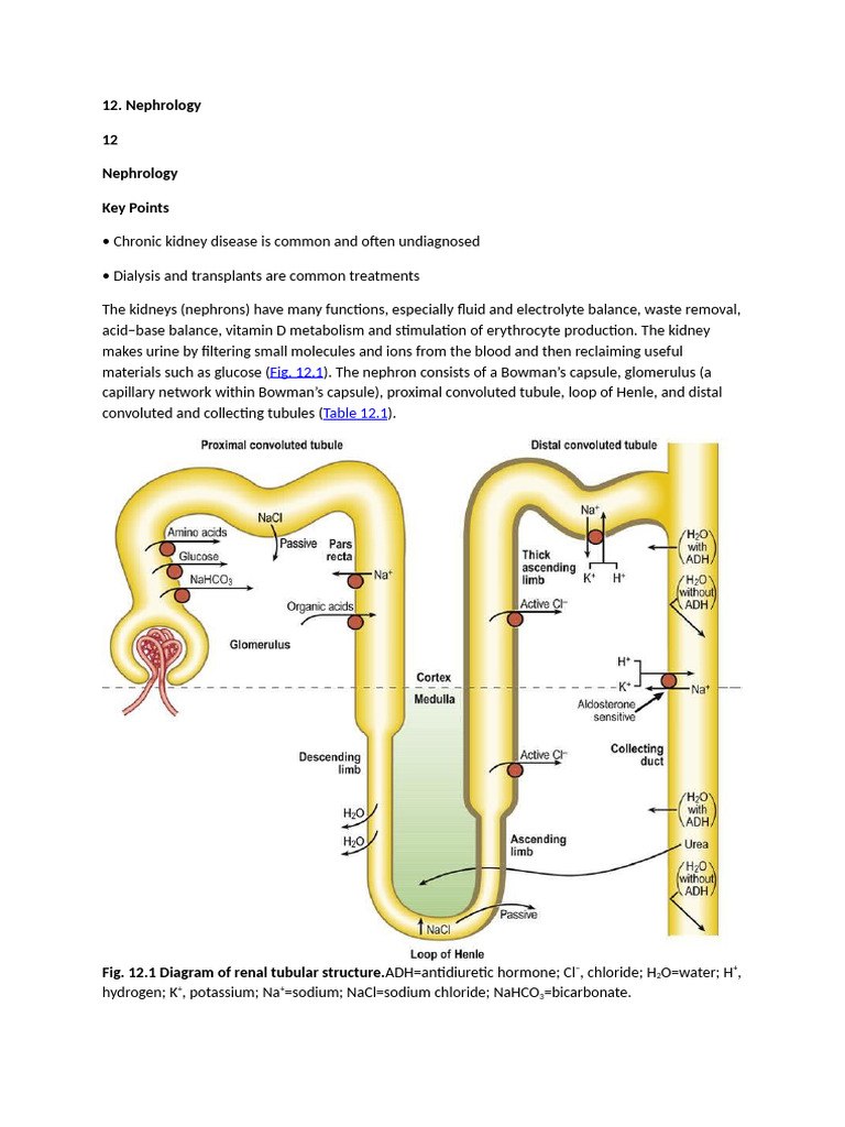 Understanding Chronic Kidney Disease | PDF | Kidney | Chronic Kidney ...