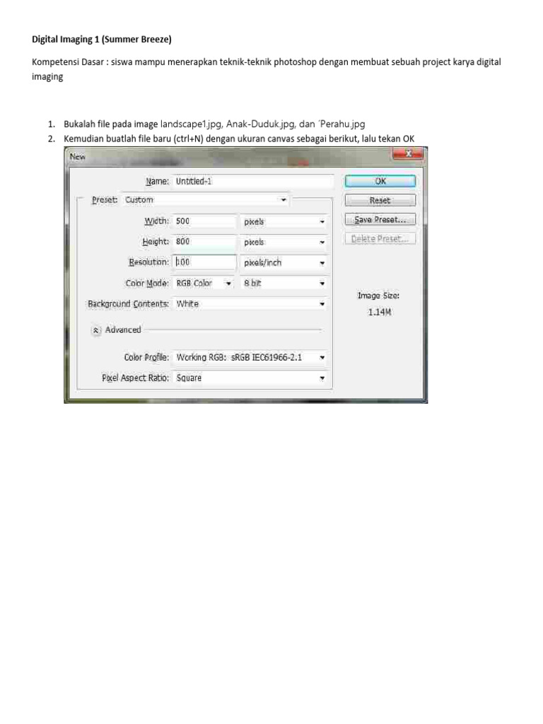 Teknik Photoshop untuk Digital Imaging | PDF