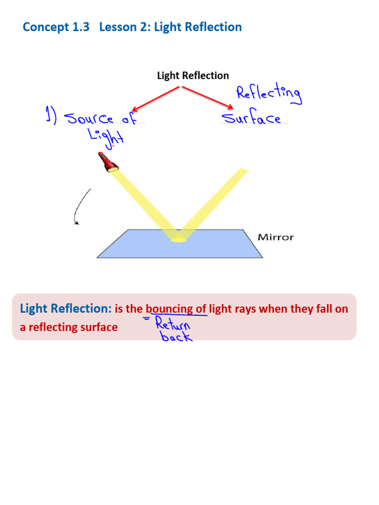 Understanding Light Reflection Basics | PDF