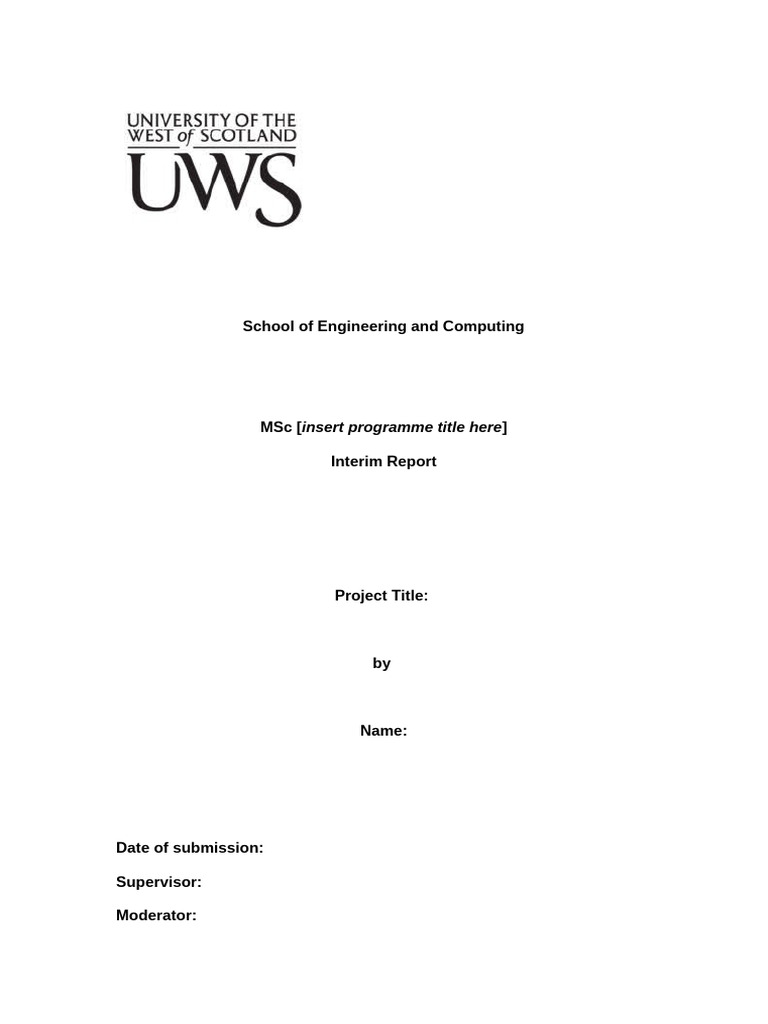 MSc Engineering Interim Report Template | PDF