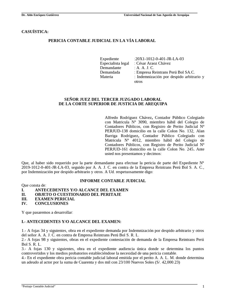 Peritaje Contable Modelo Informe AEG | PDF | Testigo experto | Experto