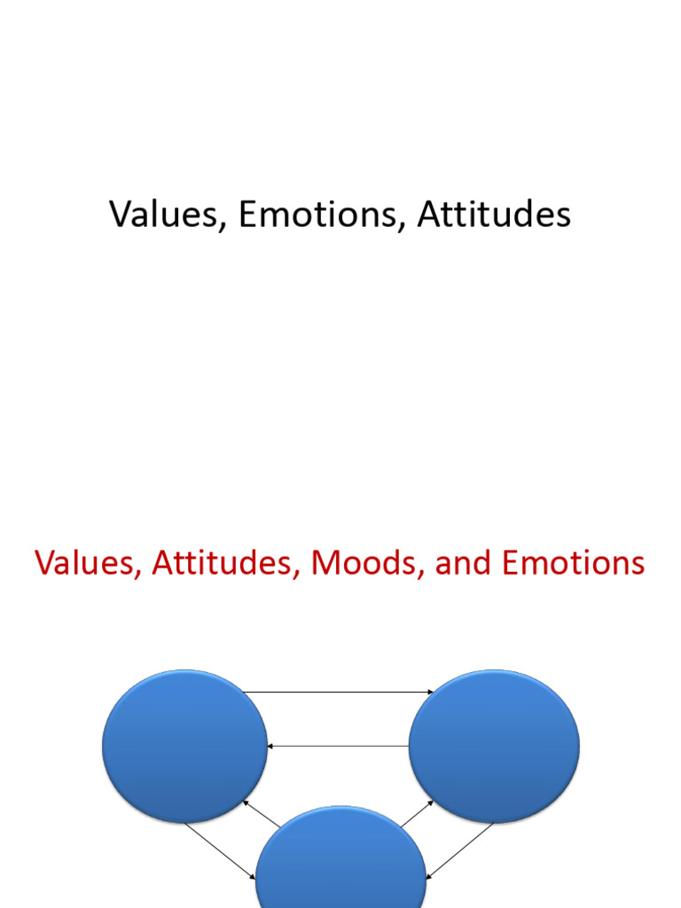 3 Values Emotions Attitudes 2025s | PDF | Job Satisfaction | Attitude ...
