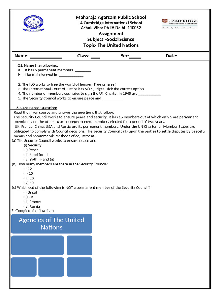 23 The United Nations Assignment | PDF