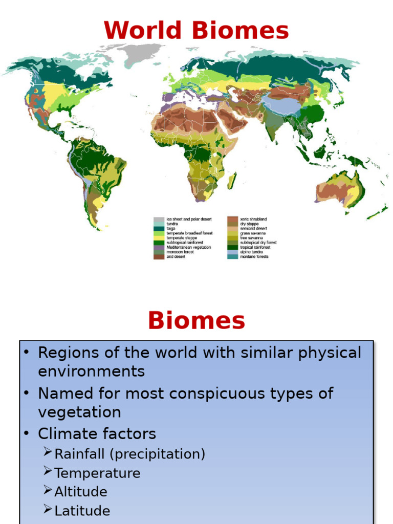 Overview of World Biomes and Ecosystems | PDF