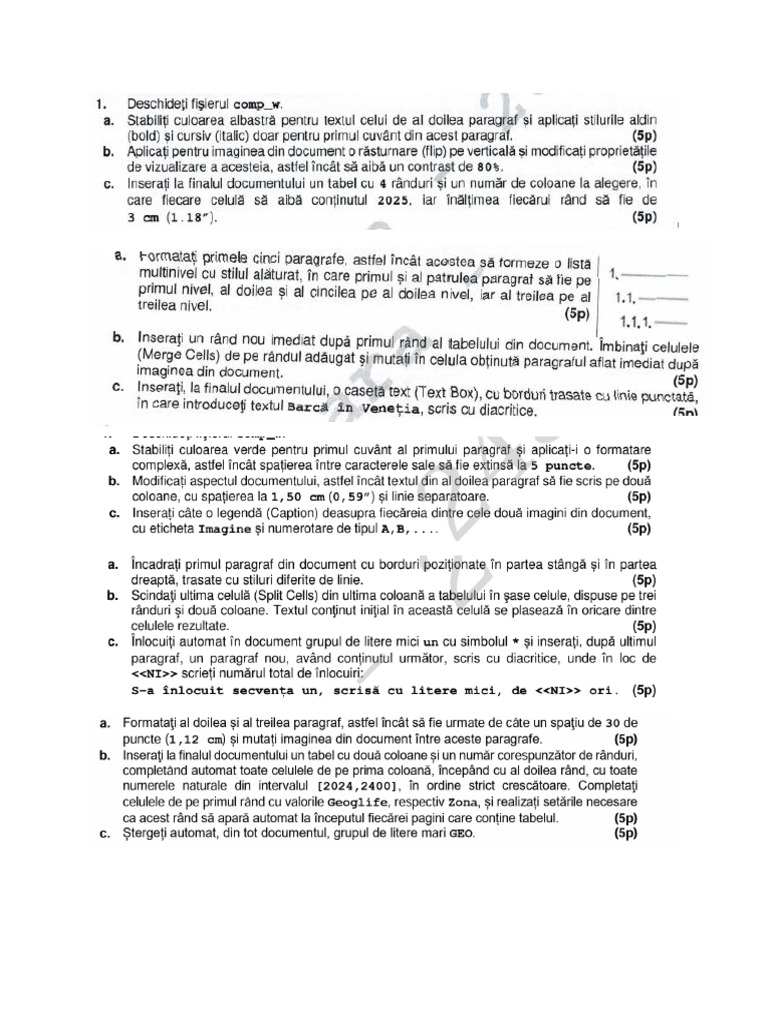 Subiecte Word Competente 2019-2024 | PDF