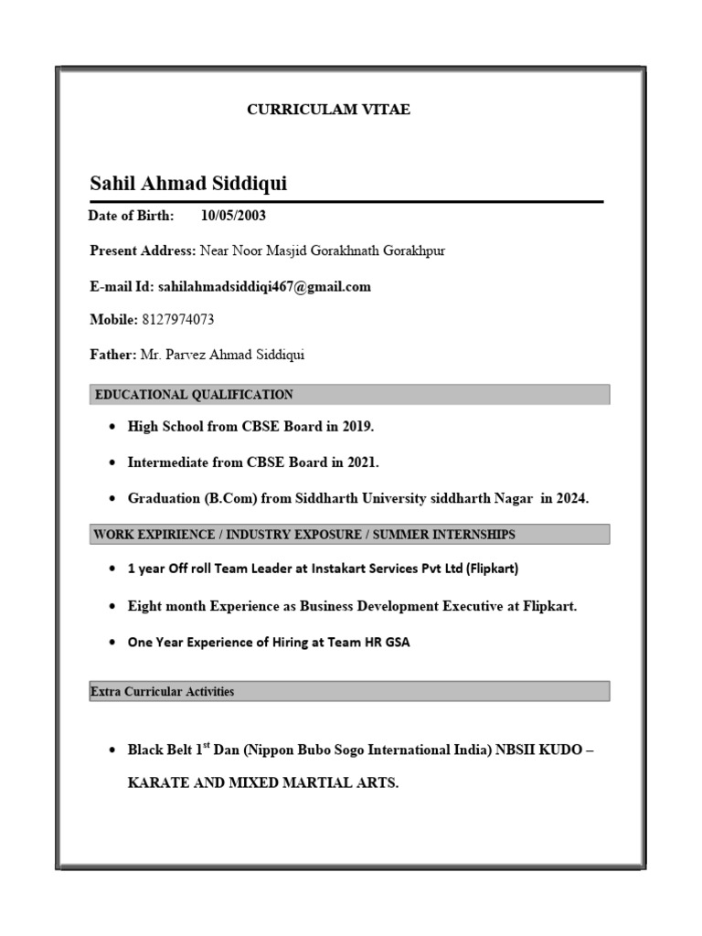 Sahil Ahmad Siddiqui's CV Overview | PDF