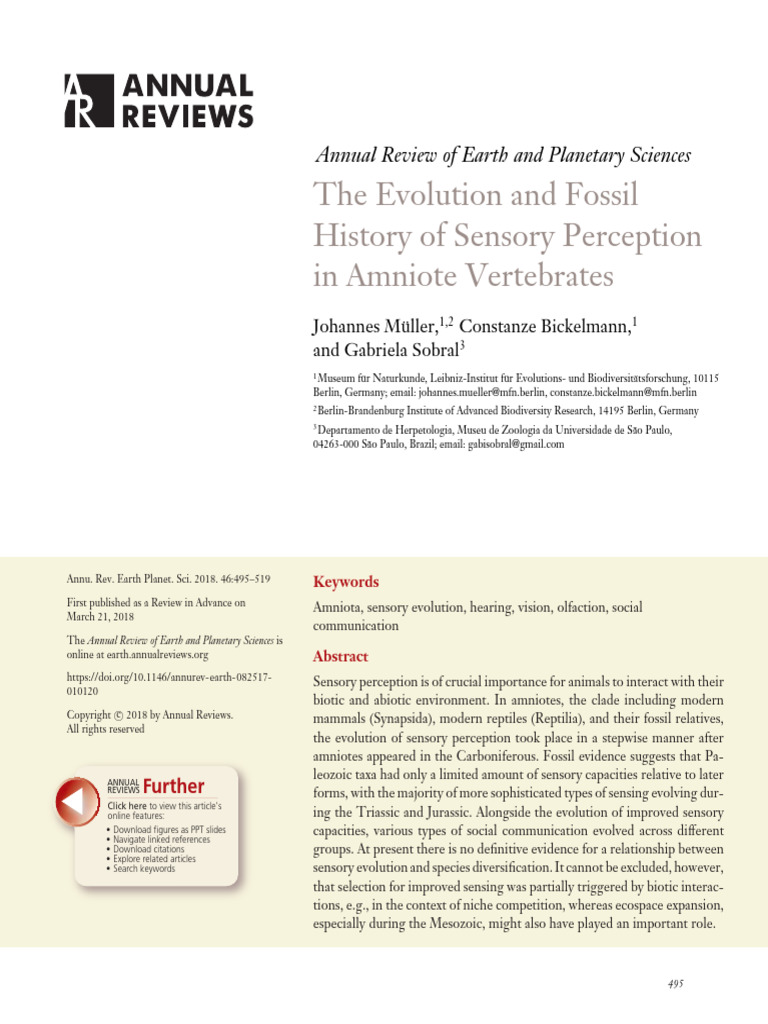 The Evolution and Fossil History of Sensory Perception in Amniote ...