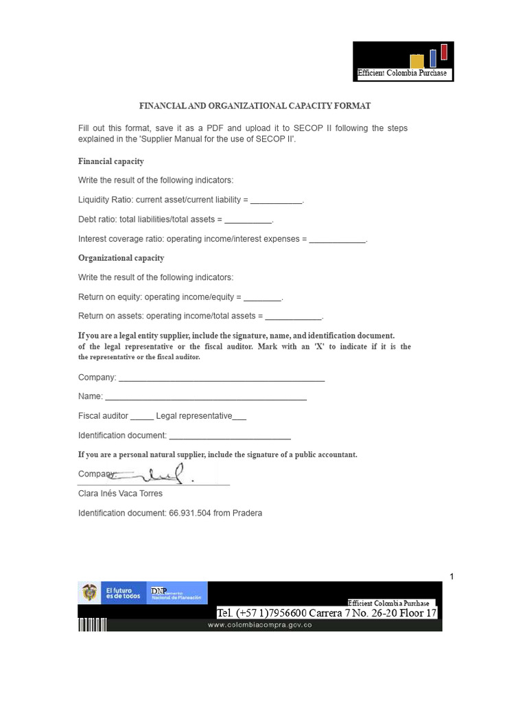 Financial Capacity Organization Format | PDF