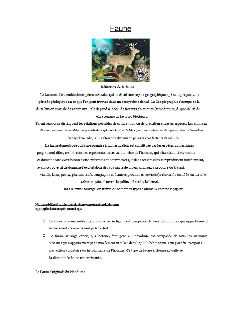 Forêts nuageuses et faune du Honduras | PDF | Forêt | Faune