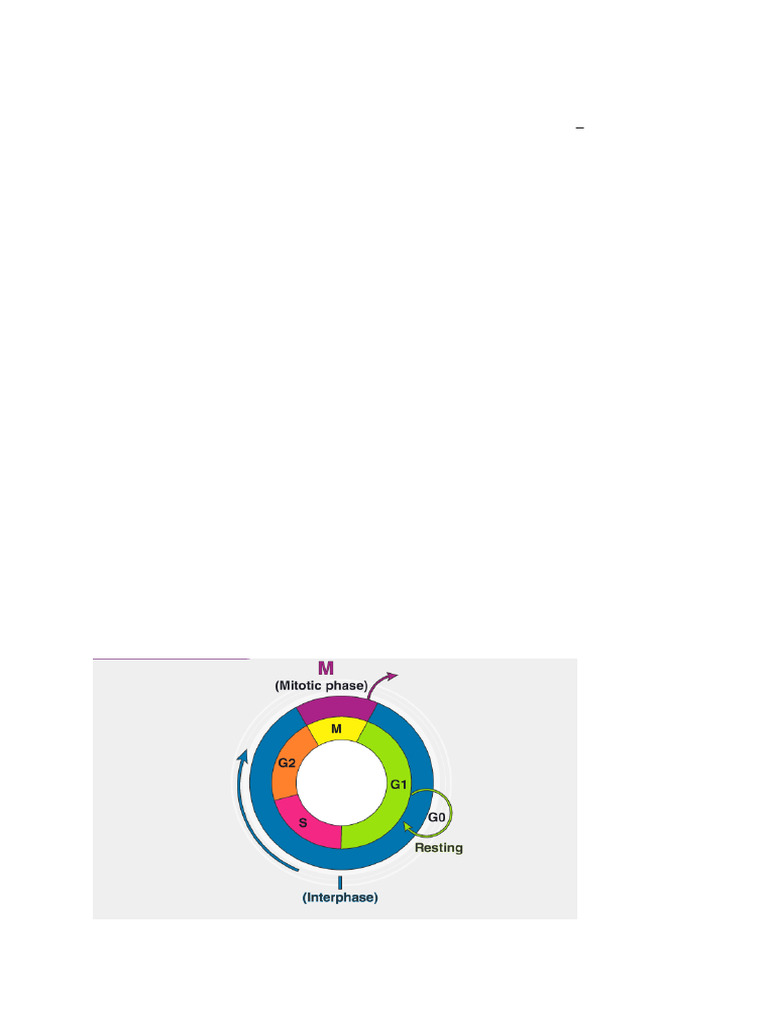 Cell Division and Cycle Overview | PDF | Meiosis | Mitosis