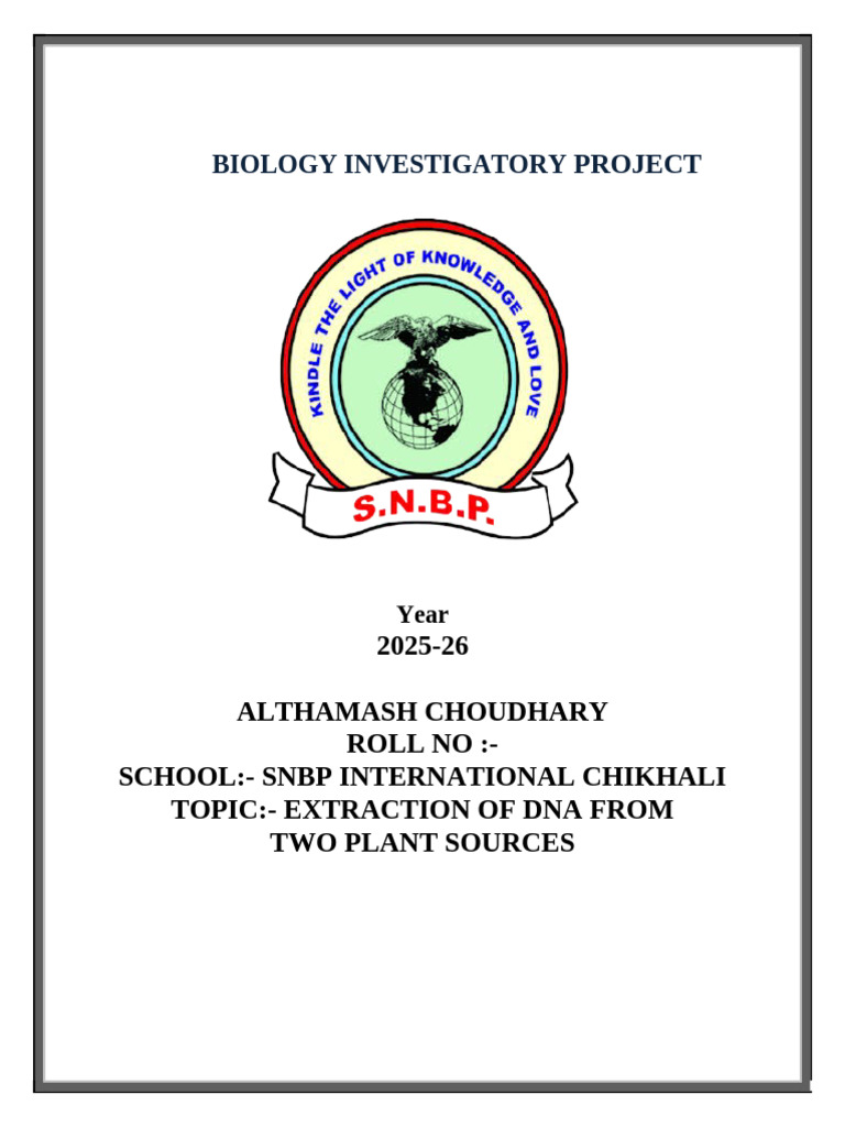 DNA Isolation from Onion Experiment | PDF | Dna | Salt (Chemistry)