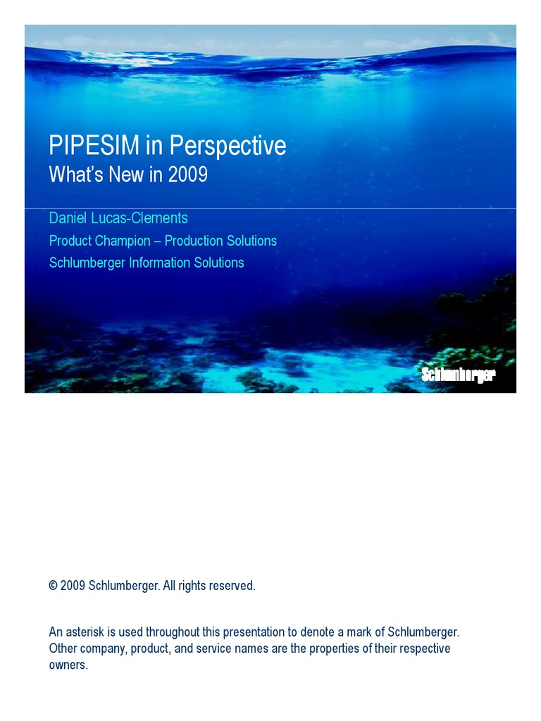 Pipe Sim 20091 | PDF | Electrical Resistivity And Conductivity | Heat
