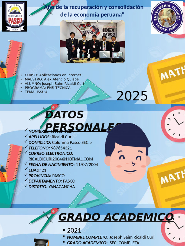 Presentación1 Ricaldi | PDF
