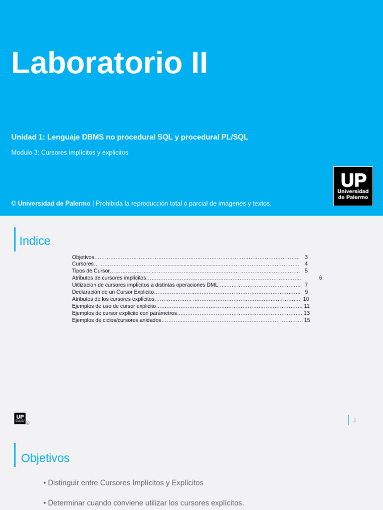 Cursores en SQL y PL/SQL: Guía Completa | PDF | SQL | Ciencias de la ...