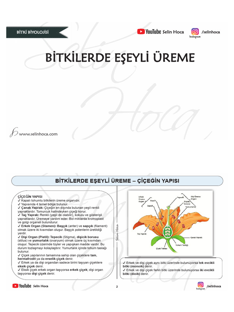 79 bitkilerde üreme | PDF