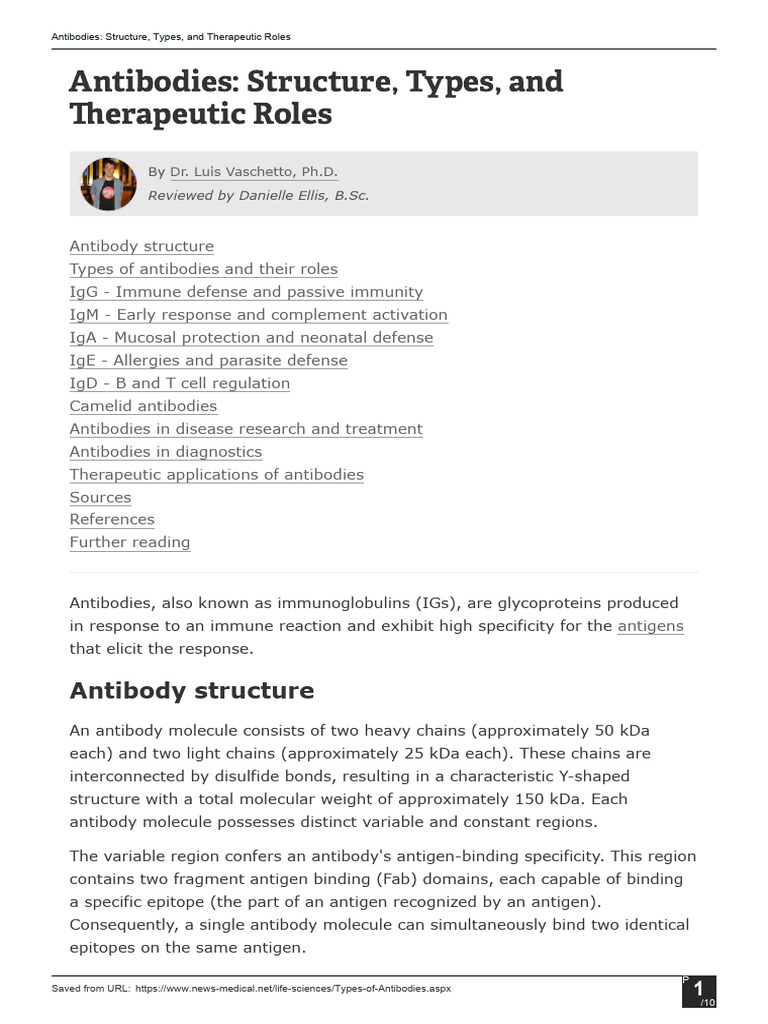 Antibodies Structure Types and Therapeutic Roles | PDF | Antibody ...