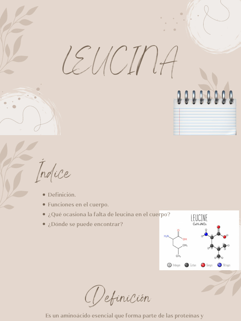 Leucina: Funciones y Fuentes Esenciales | PDF | Proteínas | Bioquímica