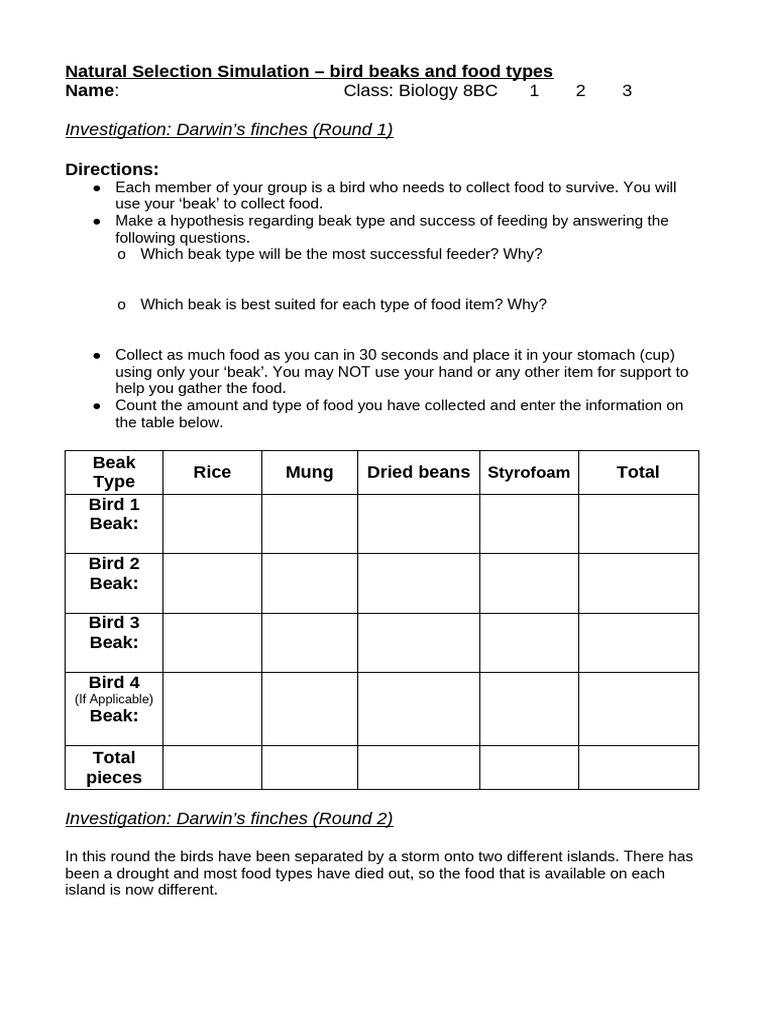Evolution Beak of The Finch Lab | PDF