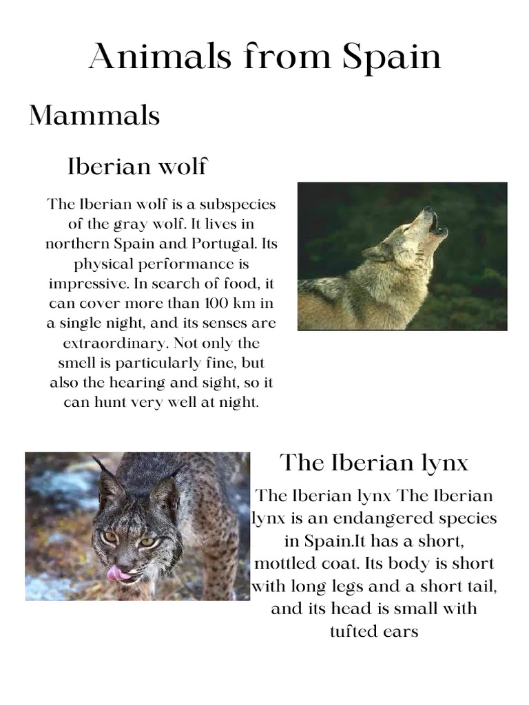Native Animals of Spain | PDF