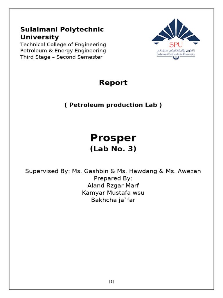 Prosper 2 | PDF | Petroleum Reservoir | Oil Well