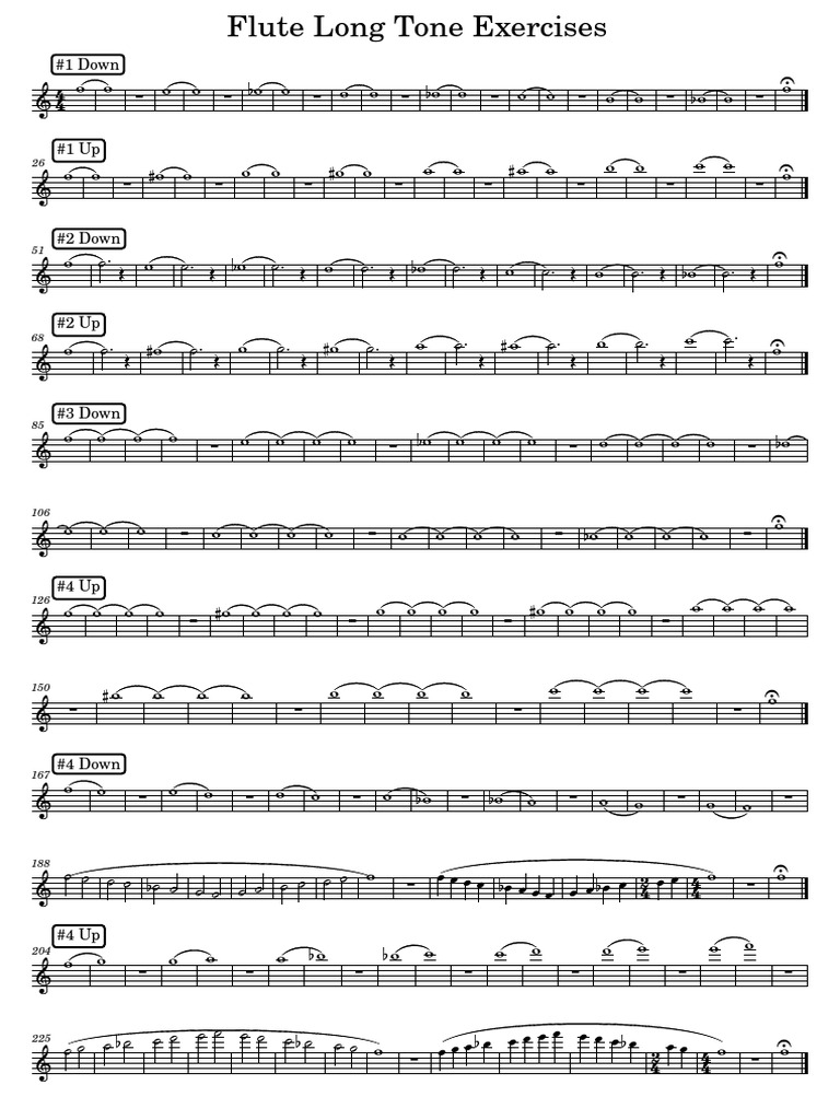 Flute Long Tone Exercises-1 | PDF
