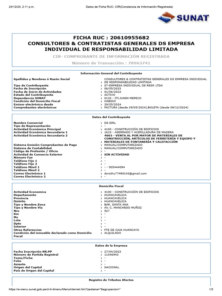 Ficha Ruc DS | PDF | Economias | Industrias de servicio