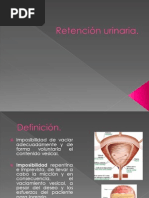 Protocolo FAST y líquido abdominal | PDF | Ultrasonido médico | Pelvis
