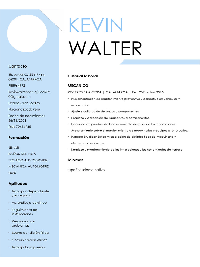 Kevin Walter CV | PDF