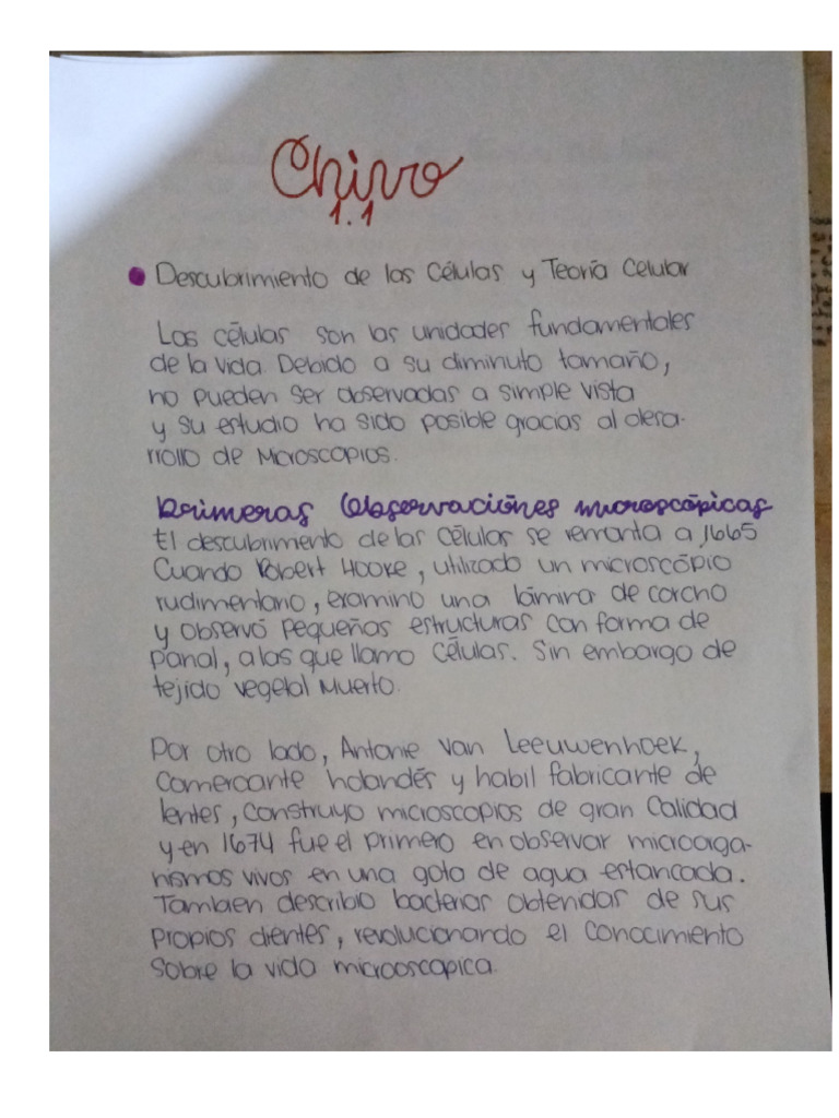 Chivo Bio | PDF