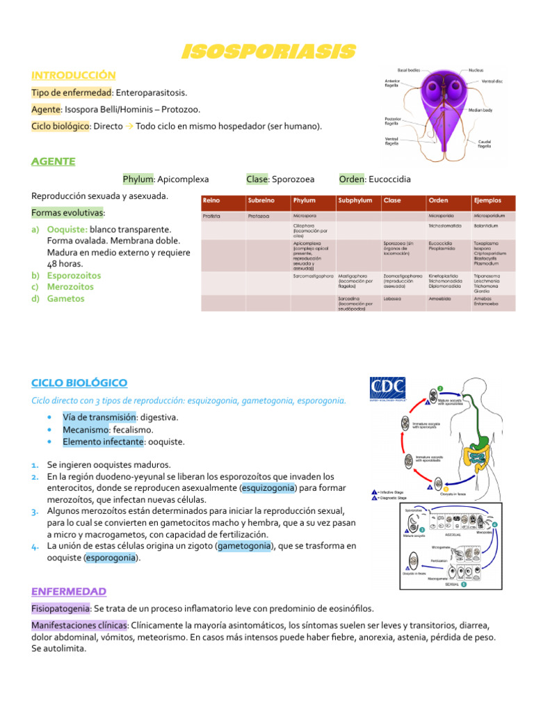 Isosporiasis | PDF