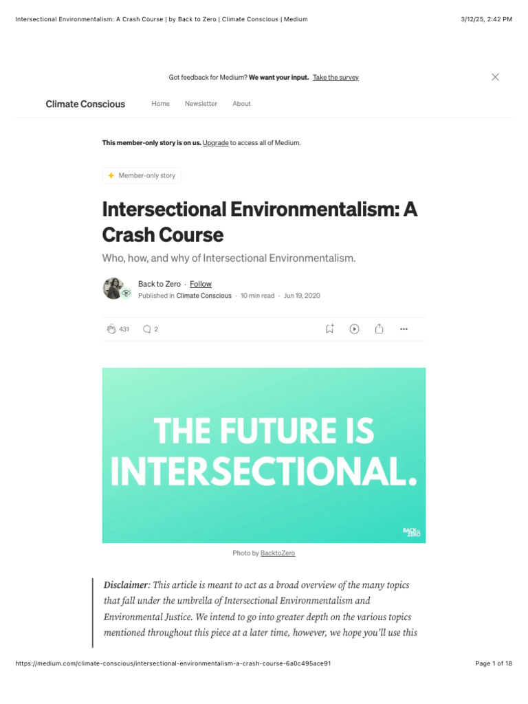 Intersectional Environmentalism: A Crash Course - by Back To Zero ...