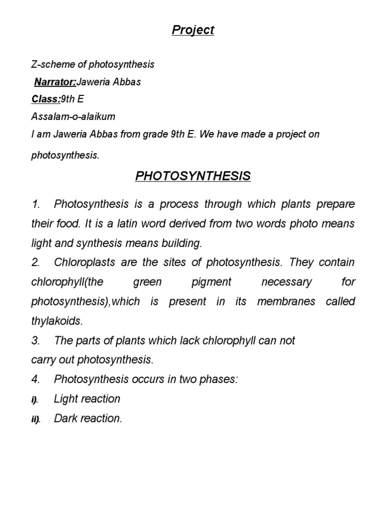 Project Photosynthesis | PDF | Social Science | Wellness