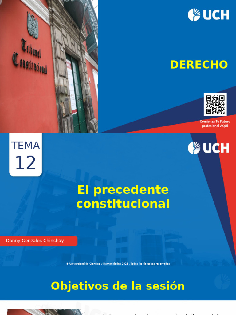 Importancia del Precedente Constitucional | PDF | Precedente | Caso de ley